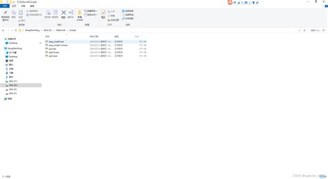 Python Environment Variables Csdn博客