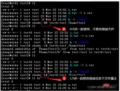 how to use linux chown command linux operation and maintenance php cn