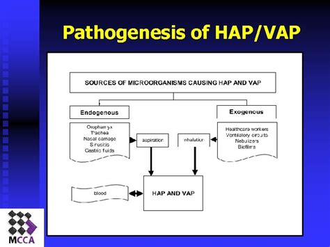 Hospital Acquired Pneumonia Hap Ventilator Associated Pneumonia Vap Thursday