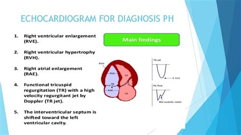 Pulmonary Hypertension And Exercisecardiopulmonary Rehabilitation Rajan