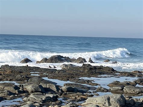 Contributors Bazley Residents Association