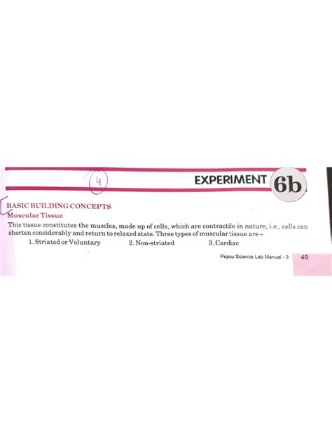 experiment 4 1 pdf