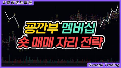 230904 굥케이 비트코인 차트분석 비트코인 차트분석 엘리어트파동 굥깐부 굥플릭스146 Youtube