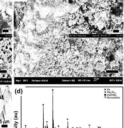 Surface Morphology Of A Homogenized B 1 Ecap And C 2 Ecap