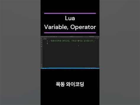 [ ASMR Programming ] Lua language Variable - No Talk 루아 언어 변수 - YouTube