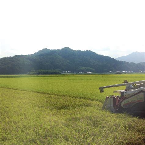 山本くんのファームへのレビュー・商品：兵庫県｜食べチョク｜産地直送産直お取り寄せ通販 農家・漁師から旬の食材を直送