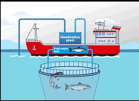 Danfoss High Pressure Pumps On Linkedin Swro Energyefficiency Highpressurepumps Aquaculture