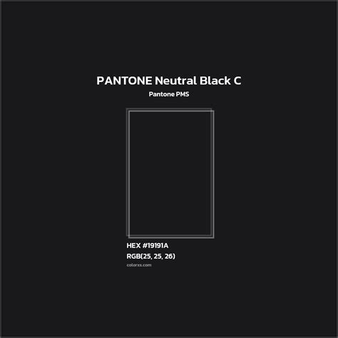 Is Black A Neutral Color At Lindsay Mullen Blog