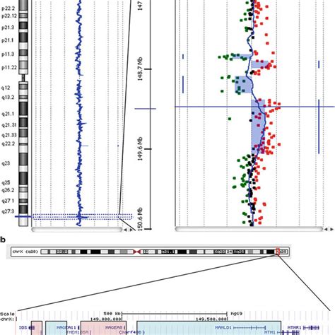 A Array Cgh Graphical Output Mapping Of The Rearrangement In