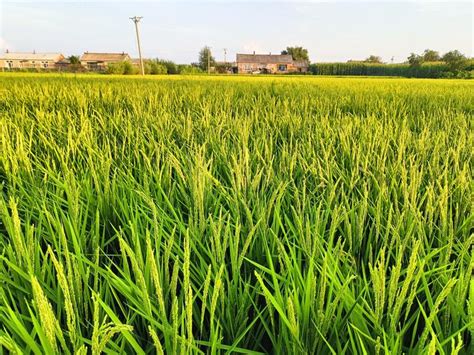 画地为牢 知乎