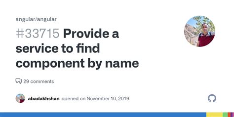 Provide A Service To Find Component By Name Issue Angular Angular Github