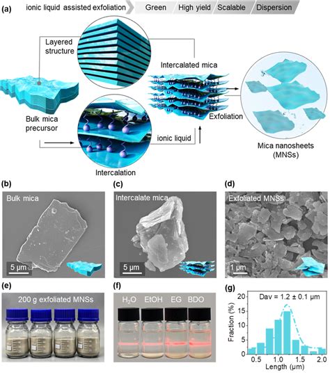 Pdf Strong Yet Tough Bio Based Biomimetic Multiphase Composite