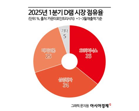 칩톡 구형 D램 접고 고사양 올인中 굴기에 우회로 찾는 韓기업들
