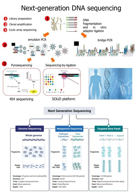 Amira Hadid On Linkedin Ngs Dnasequencing Pcr Dna Biotech Health Biomedical Sciences