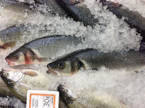 Fish Fillet With A Crust Cyprus Food Museum