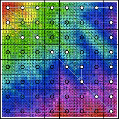 Fig 2 Waves Of Races Perform Computation Dynamic Programming