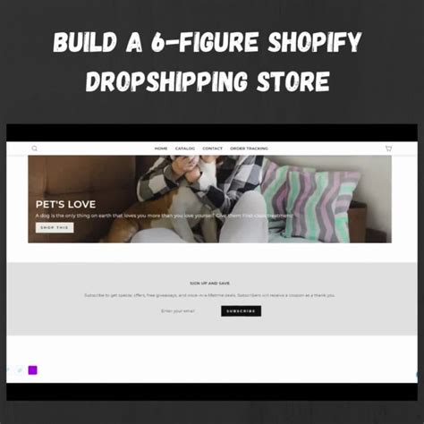 automated shopify dropshipping store shopify website shopify store