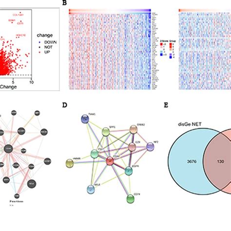 Tcga Differential Analysis And Cd44 Related Gene Analysis A Volcano