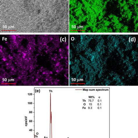 a scanning electron micrograph b d edx elemental mapping of th