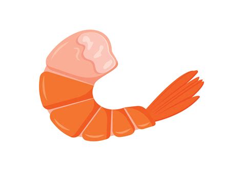 Cooked Shrimp Tail Vector Illustration Isolated On White Background