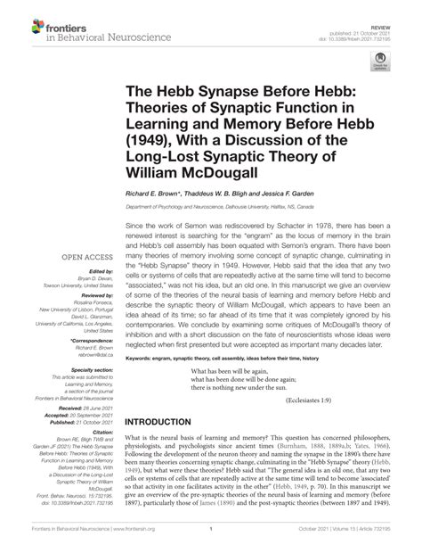 Pdf The Hebb Synapse Before Hebb Theories Of Synaptic Function In