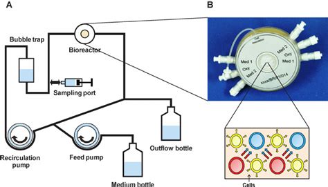 A Bioreactor Perfusion System With Tubing For Medium Recirculation