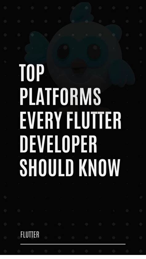 Developerera Show App Tutorial On First Install