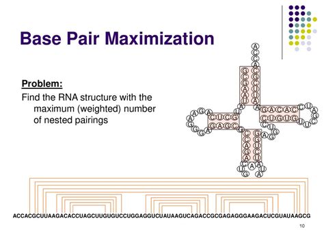 rna secondary structure prediction ppt download