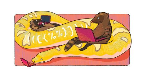 Python разработчик кто он Обзор изнутри от Александры Воронцовой Devby