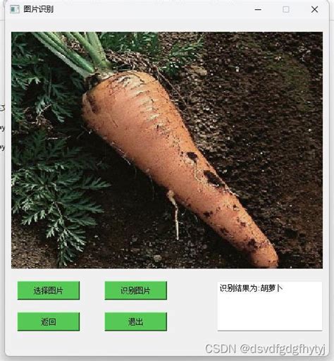 144基于cnn的水果蔬菜识别 不用安装环境下载即可运行 cnn果蔬数据集 csdn博客