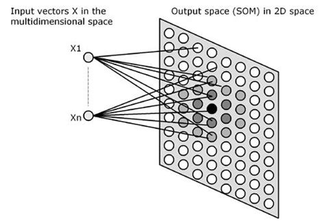 1 Structure Of Self Organising Maps Download Scientific Diagram