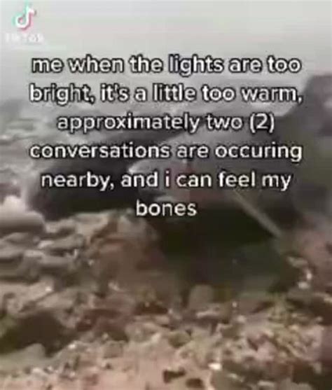Post [701846655708905472] I Am The Quintessential