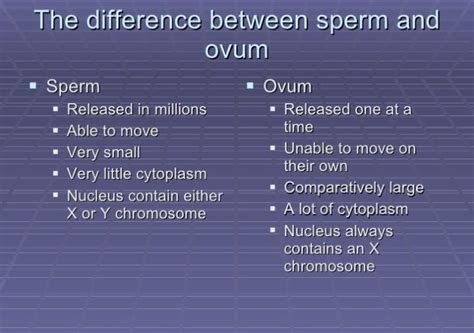 Different Between Sperm And Ovum Brainly In