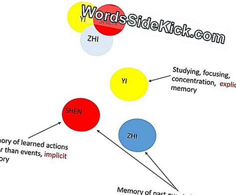 Implicit Memory Definitie En Voorbeelden 2025 Gezondheid