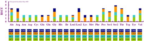 Relative Synonymous Codon Usage Rscu In Flavoperla Biocellata Chu
