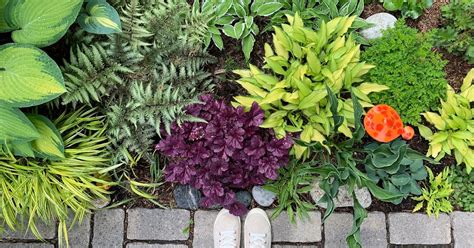 Joyful Puttering Collecting•creating•connecting Stitched Flower Doodles