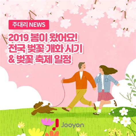 주연테크 [2019 전국 벚꽃 개화시기 And 벚꽃 축제 일정] 안녕하세요 주대리 입니다♥ 오늘은