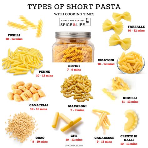 13 Types Of Short Pasta Perfect For Any Sauce Spice And Life