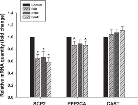 Real Time Reverse Transcription Pcr Validation Of Mi Croarray Results