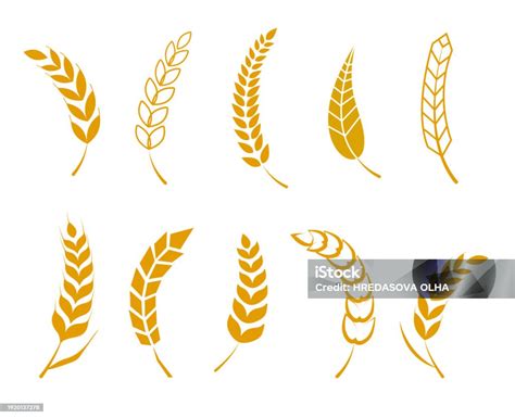 밀의 황금 귀의 간단한 아이콘 세트입니다 맥주 유기농 신선 식품 옥수수 농장 곡물 요소 밀 심플한 패턴에 대한 밀 로고 디자인 요소 벡터 일러스트 레이 션입니다 위시프에