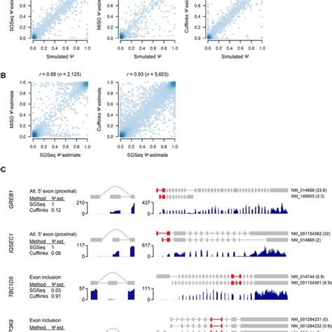 Splice Graph And Analysis Workflow A Splice Graph Derived From Four Download Scientific