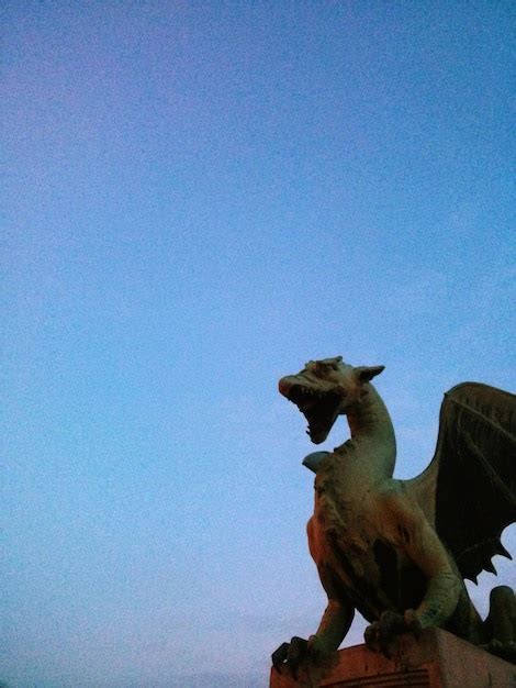 Premium Photo Low Angle View Of Tree Against Blue Sky