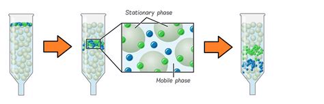 Chromatography Main Concepts And Calculations