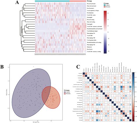Integrated Analysis Of Immune Related Long Noncoding Rnas As Diagnostic Biomarkers In Psoriasis