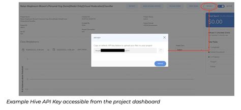 Using Hive S Visual Moderation API
