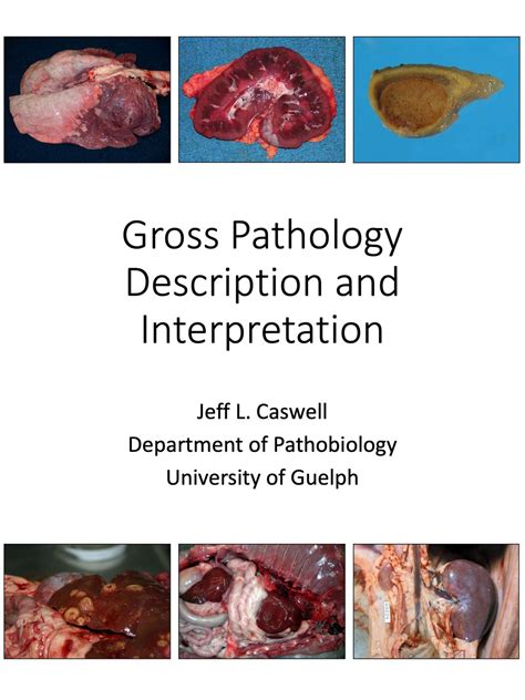 Gross Pathology Description And Interpretation Simple Book Publishing