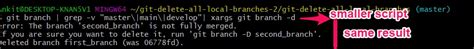 How To Delete All Local Branches In Git Delft Stack