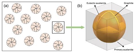 Sketch Of Solidification Structure Of Gray Cast Iron A And 3d Unit Download Scientific