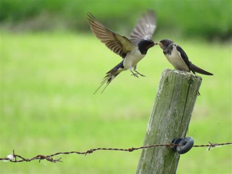 God Is In De Stilte Snelle Hapjes