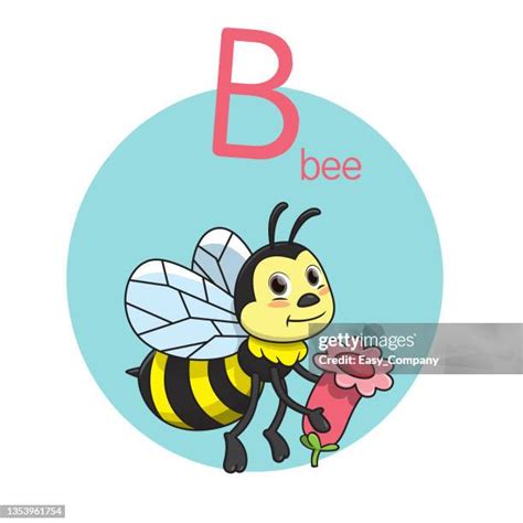 Bee Eye High Res Illustrations Getty Images